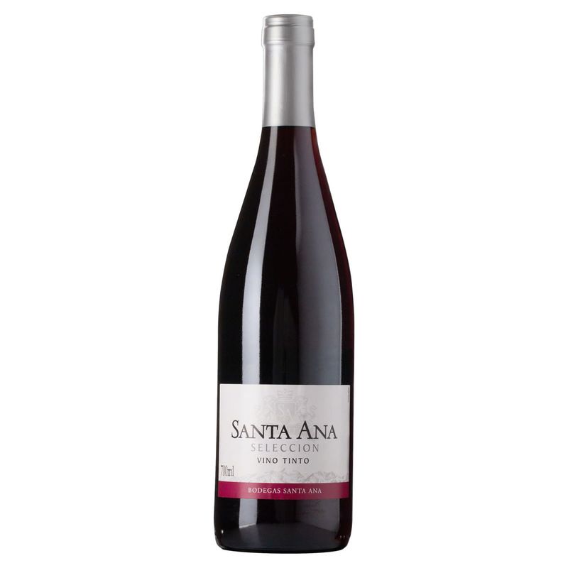 Vinho Tinto Argentino Bodegas Santa Ana 700ml