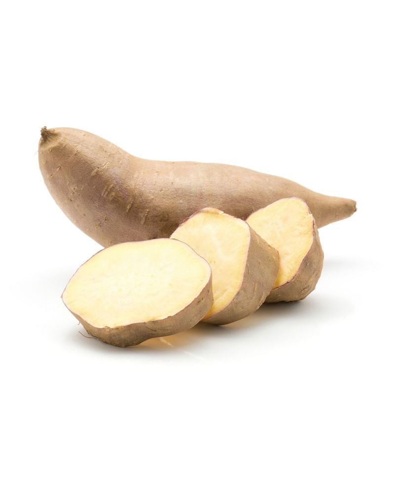 Batata Doce Branca