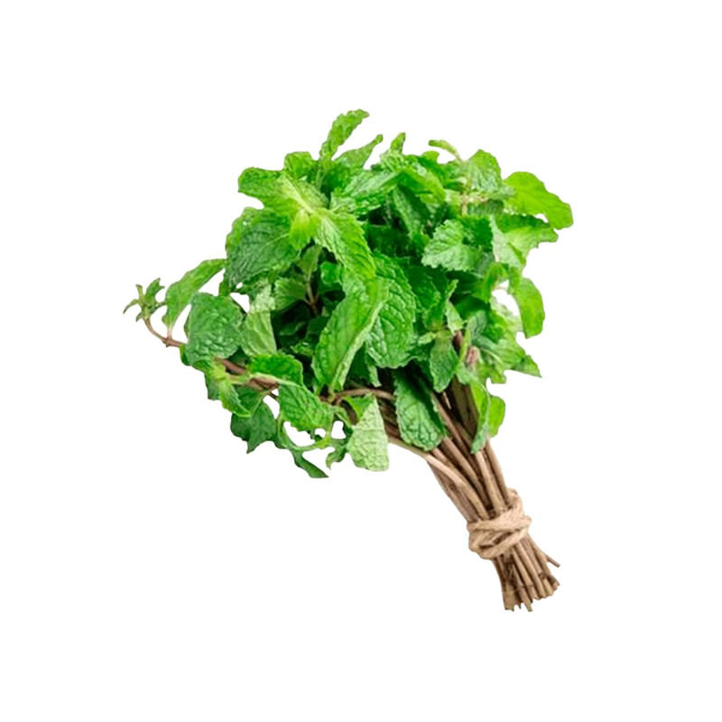 Hortelã Miudo 1 Maço