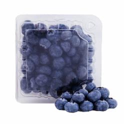 Mirtilo Importado 125g